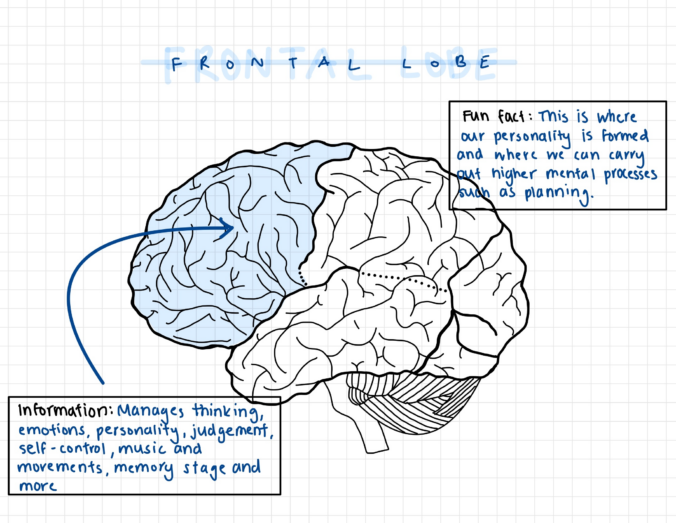 Kevin’s EDCI 337 Blog – I wonder if I put a few words here?